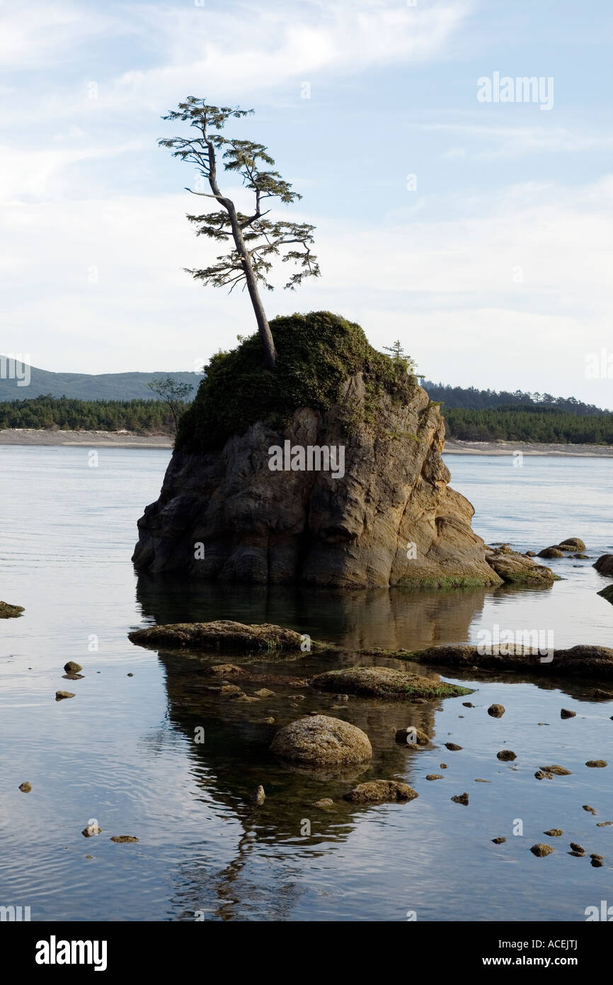 Barview hi-res stock photography and images - Alamy