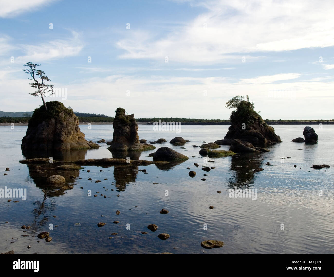 Barview jetty hi-res stock photography and images - Alamy