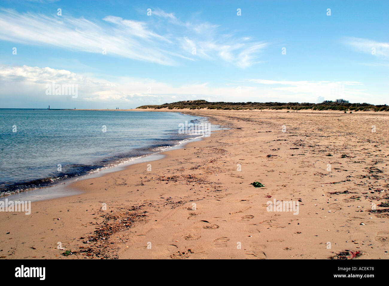 Shell Bay Dorset Stock Photo - Alamy