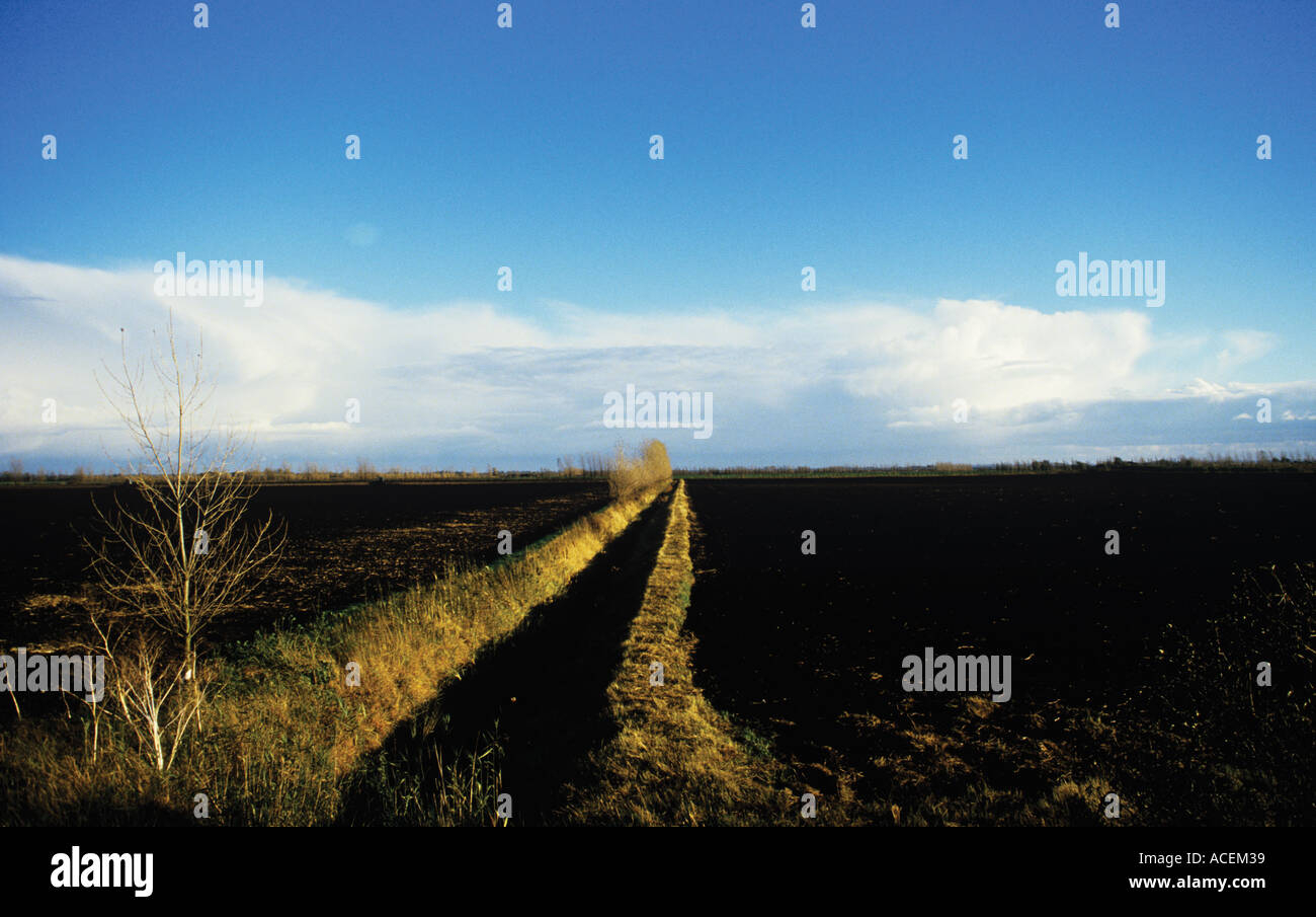 Typical black earth fields with drainage ditch near Ely late autumn ...