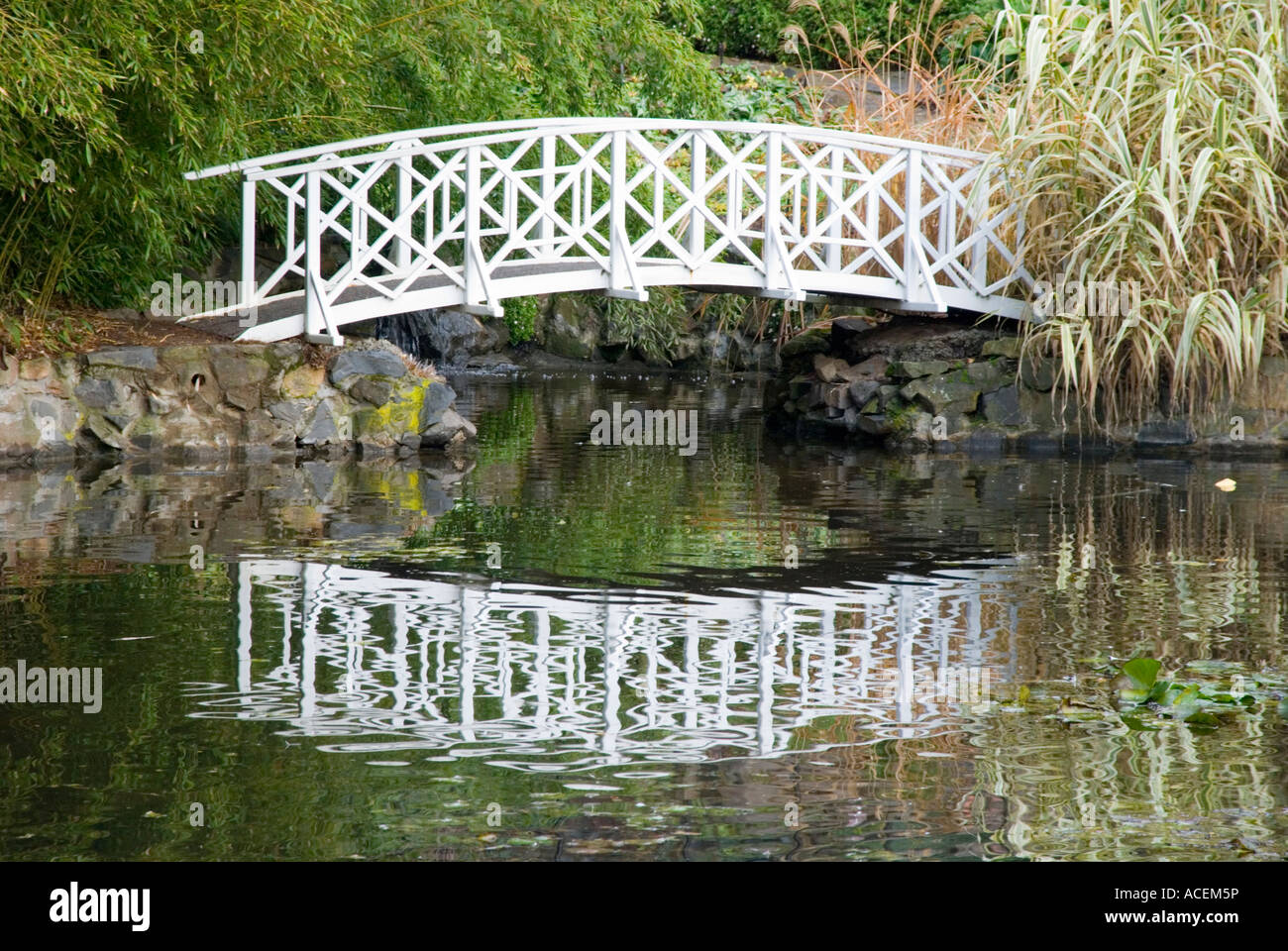 An arched wooden bridge over a water feature in the Tasmanian Botanical ...