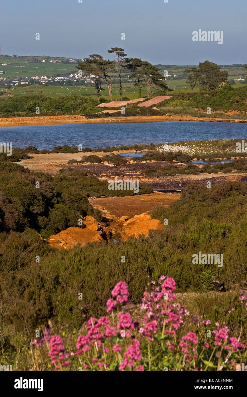 Landscape of Parys Mountain, showing old copper mine settling ponds ...