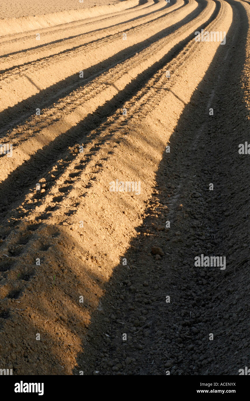 Landscape ridge and furrow hi-res stock photography and images - Alamy