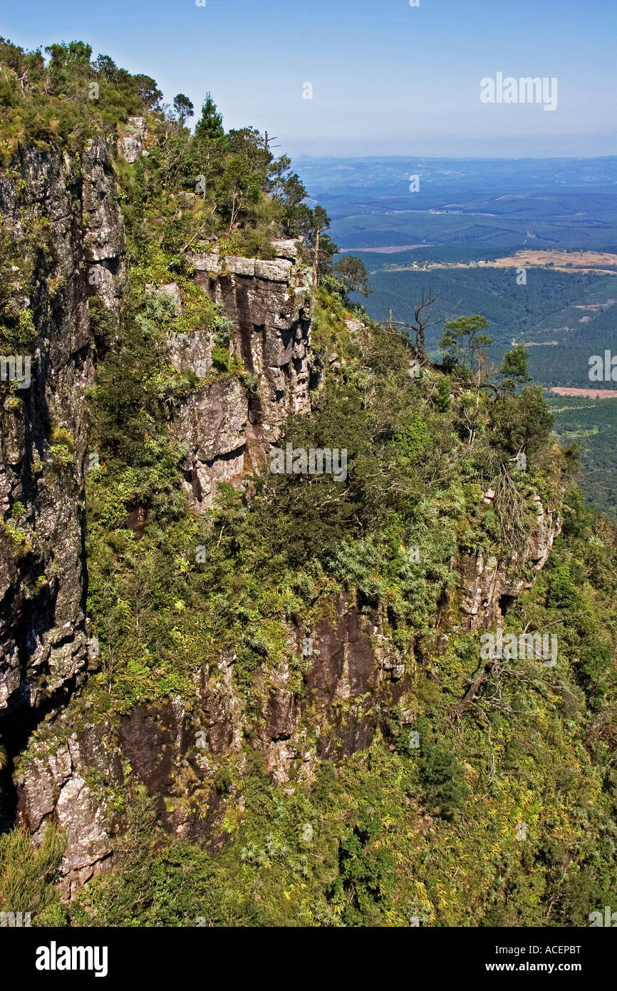 View of escarpement cliffs from God's Window near Graskop along Blyde ...