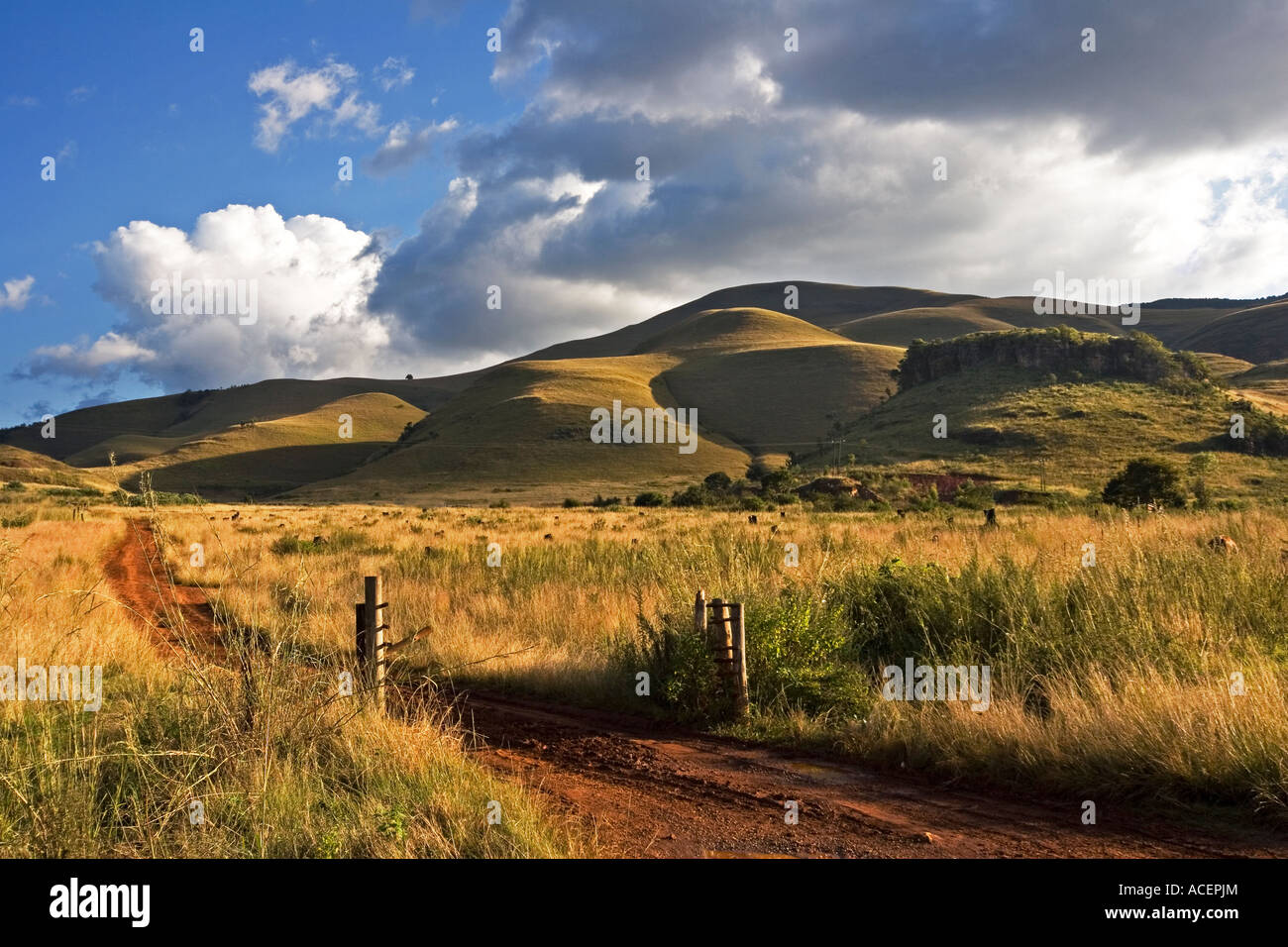 Eastern transvaal hi-res stock photography and images - Alamy