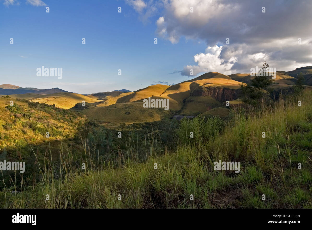 Drakensburg foothills, Eastern Transvaal, near Pilgrim's Rest, South ...