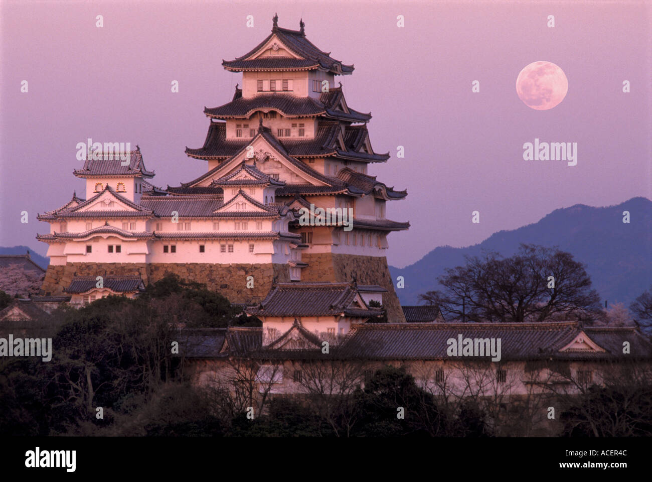 Moon rising beside main tower of Himeji Castle also known as the White ...