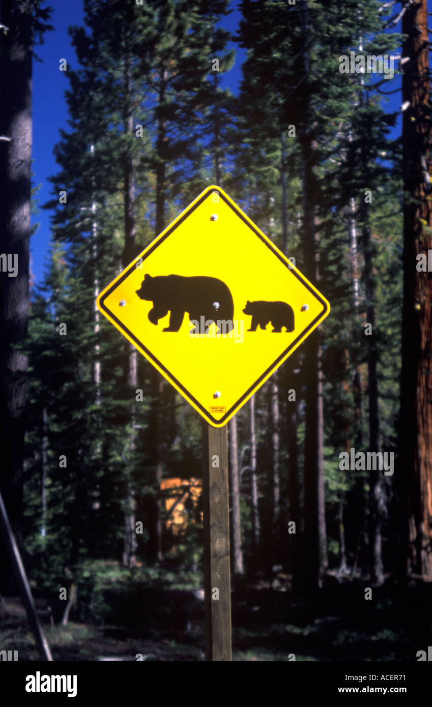 Beware bears hi-res stock photography and images - Alamy