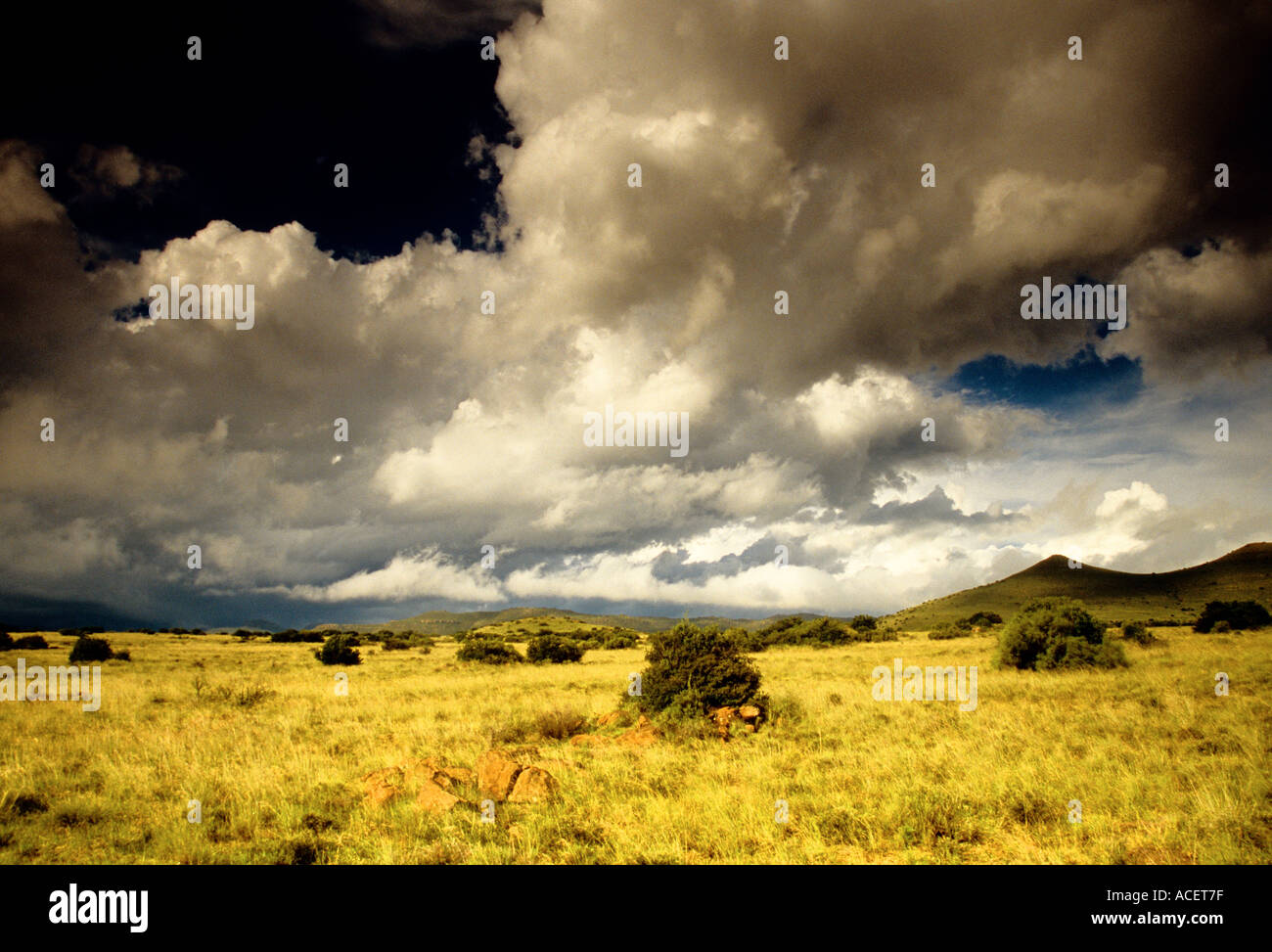 Groot Karoo Eastern Cape South Africa Storm clouds on the desert ...