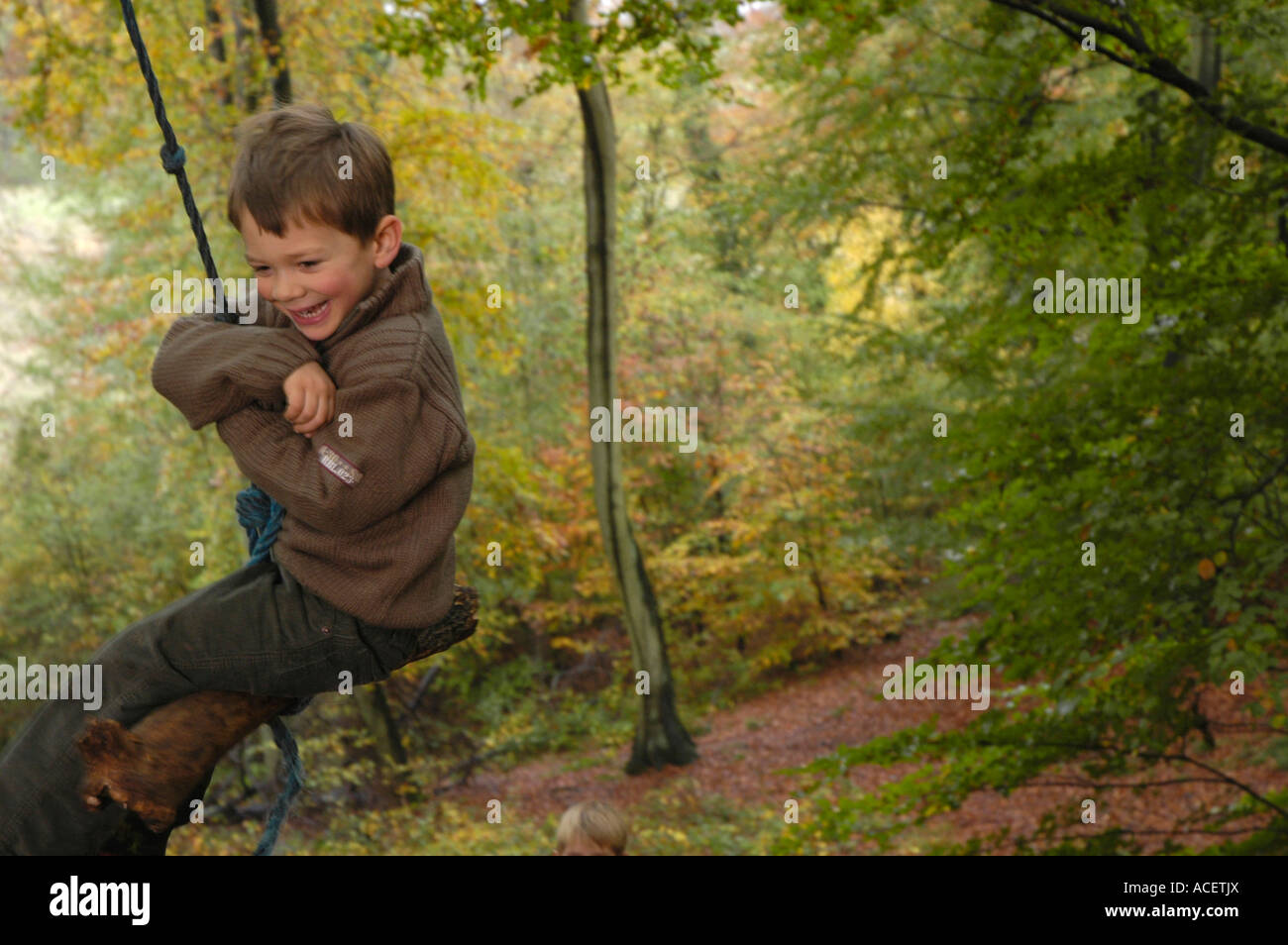 boy swinging on rope in wood Stock Photo - Alamy