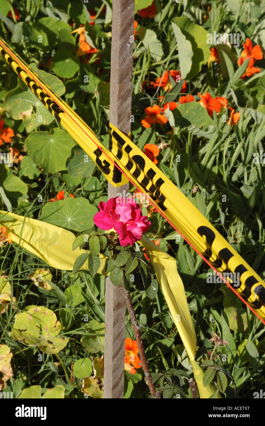 Crime scene vertical tape hi-res stock photography and images - Alamy