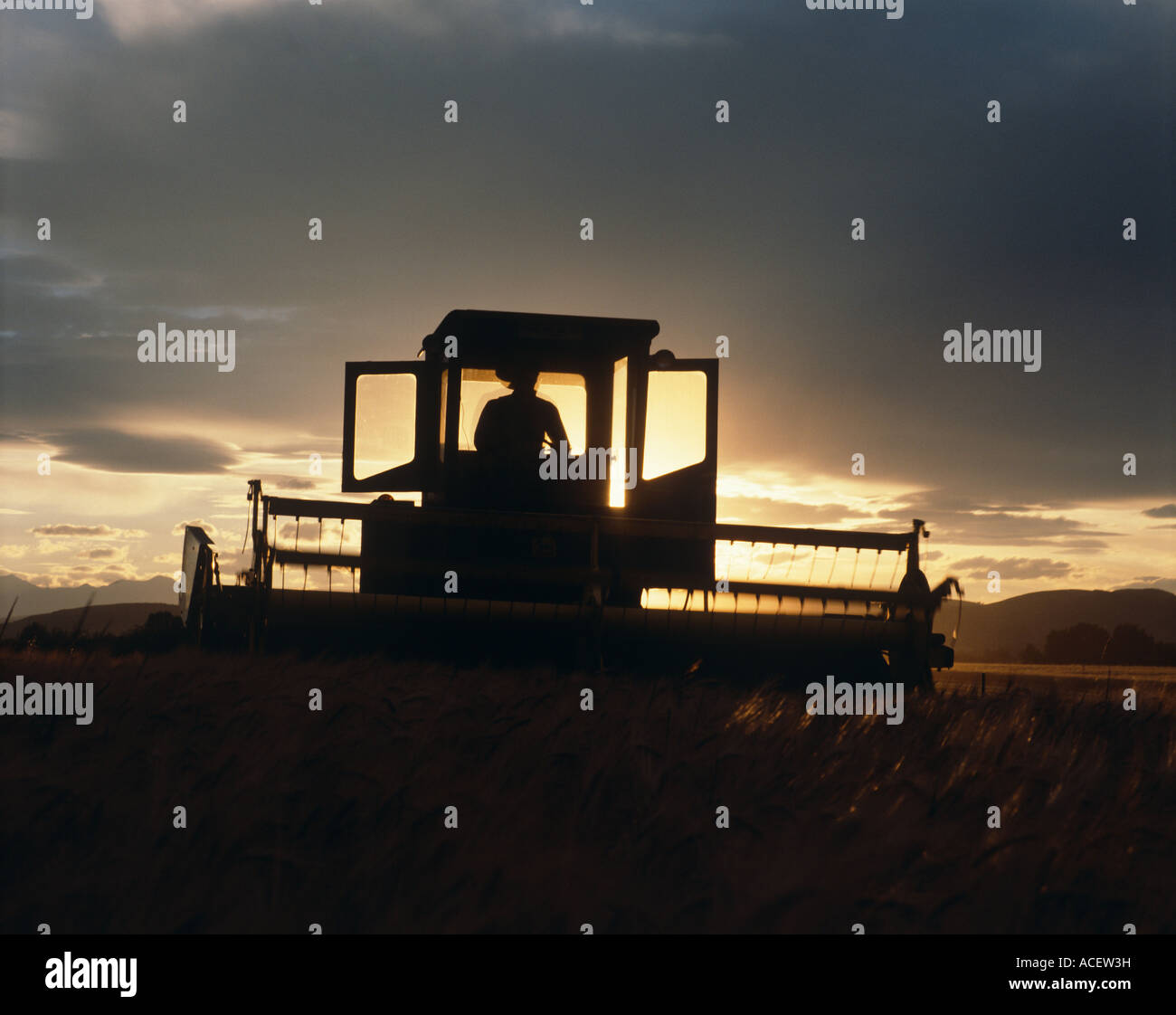 Machine silhouette in field Stock Photo - Alamy