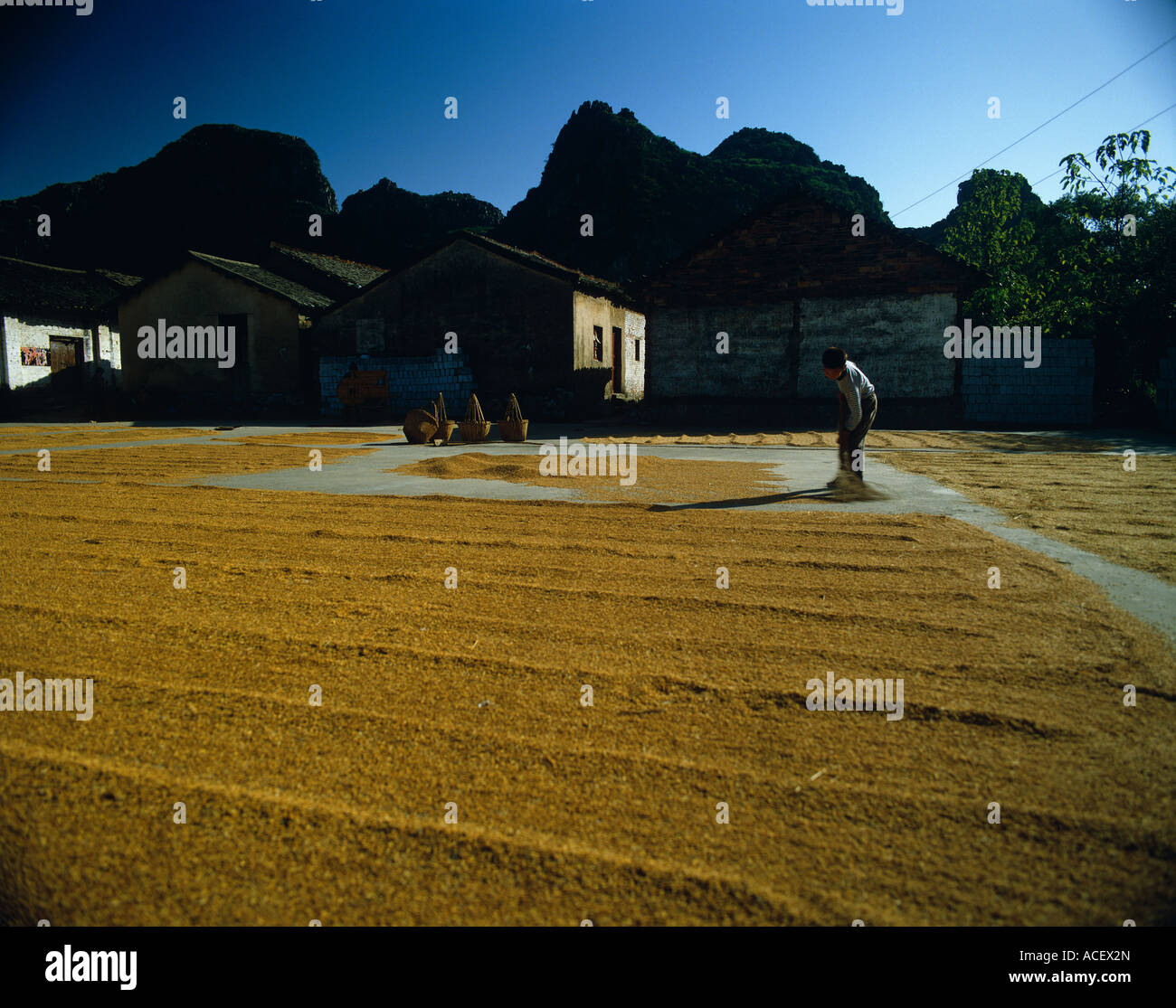 China village man working Stock Photo - Alamy