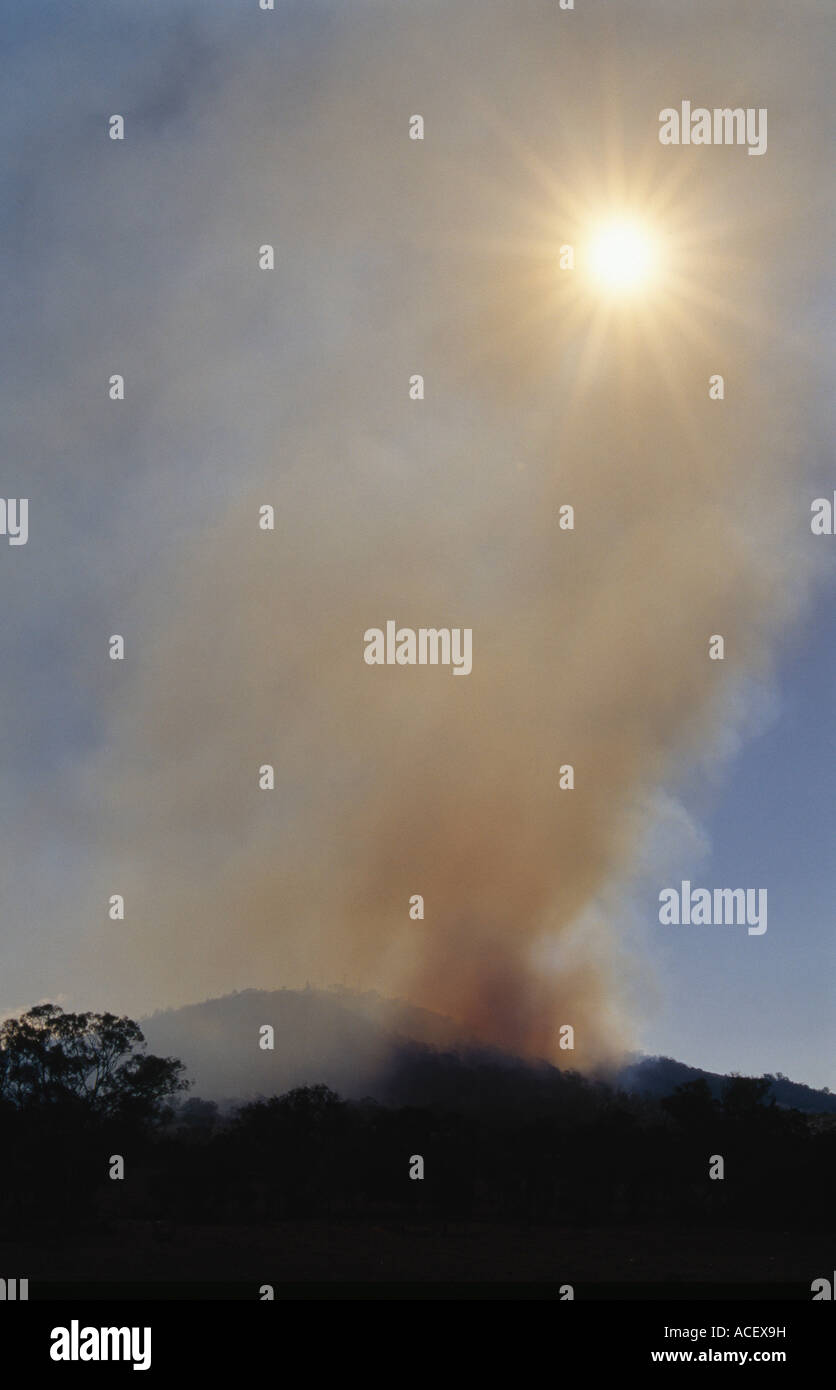 Bush fire reduction hi-res stock photography and images - Alamy