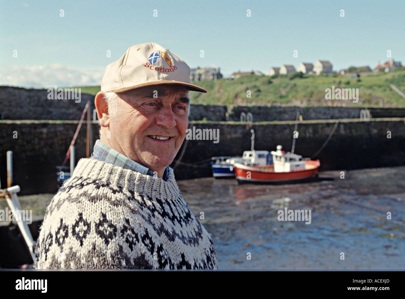 Male with low crest hi-res stock photography and images - Alamy