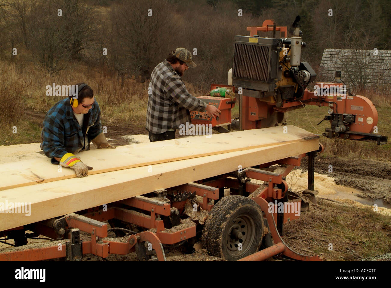 men cutting lumber Stock Photo - Alamy
