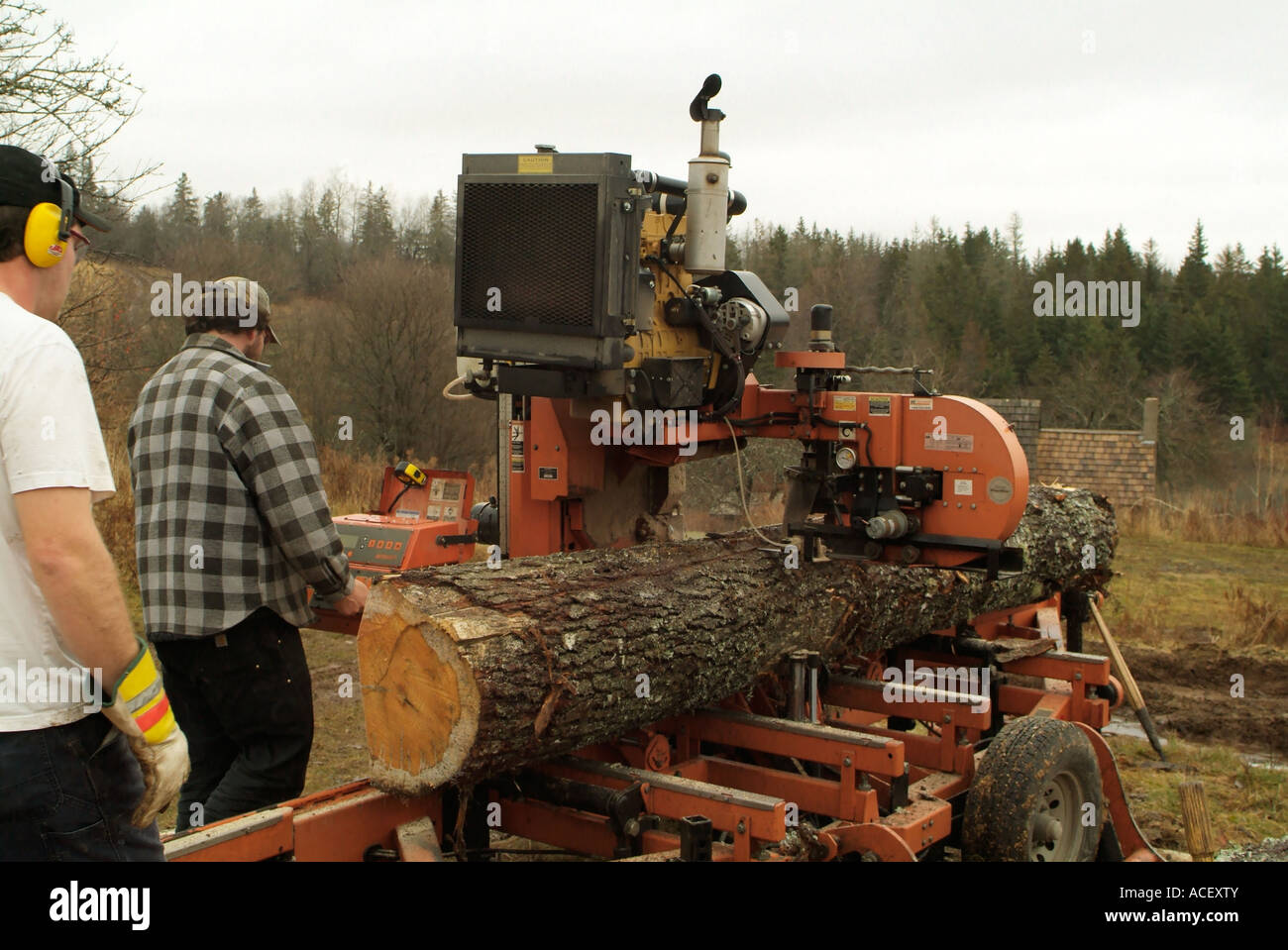men milling logs Stock Photo - Alamy