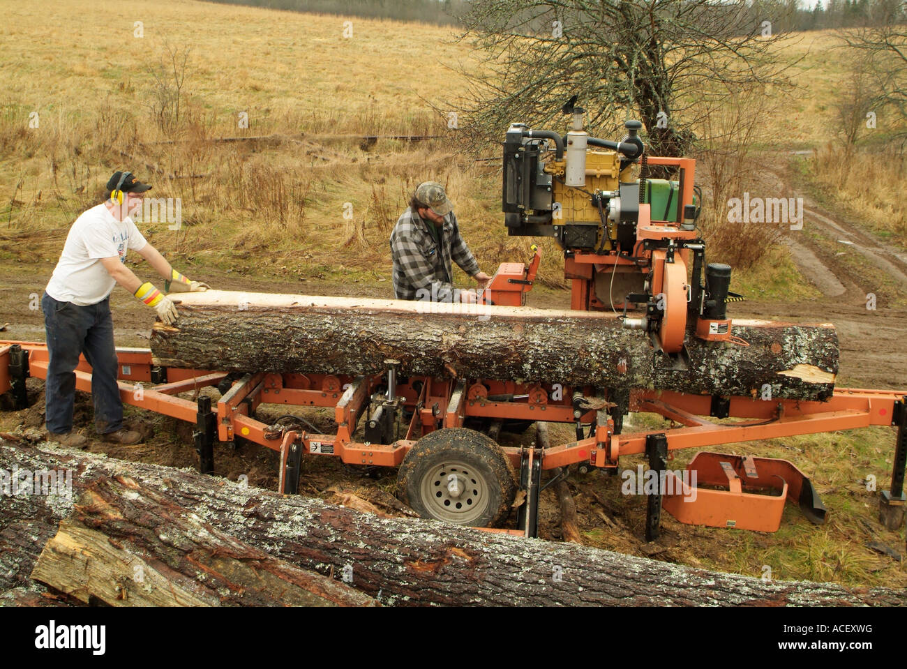 men with logging Stock Photo - Alamy