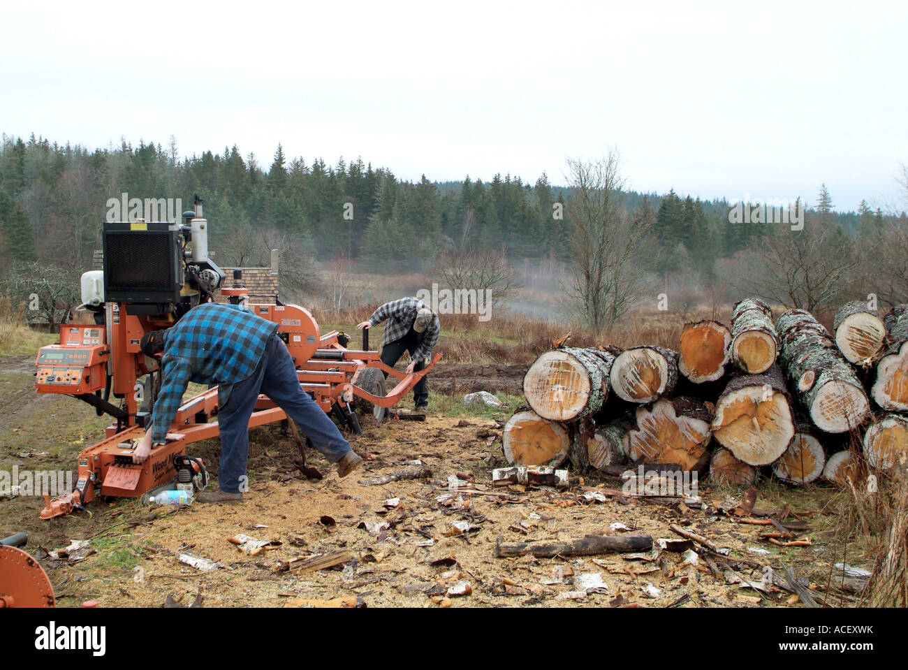 men and wood mill Stock Photo - Alamy