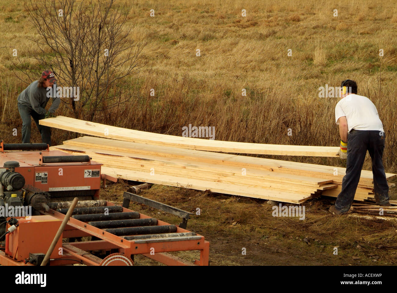 men with lumber Stock Photo - Alamy