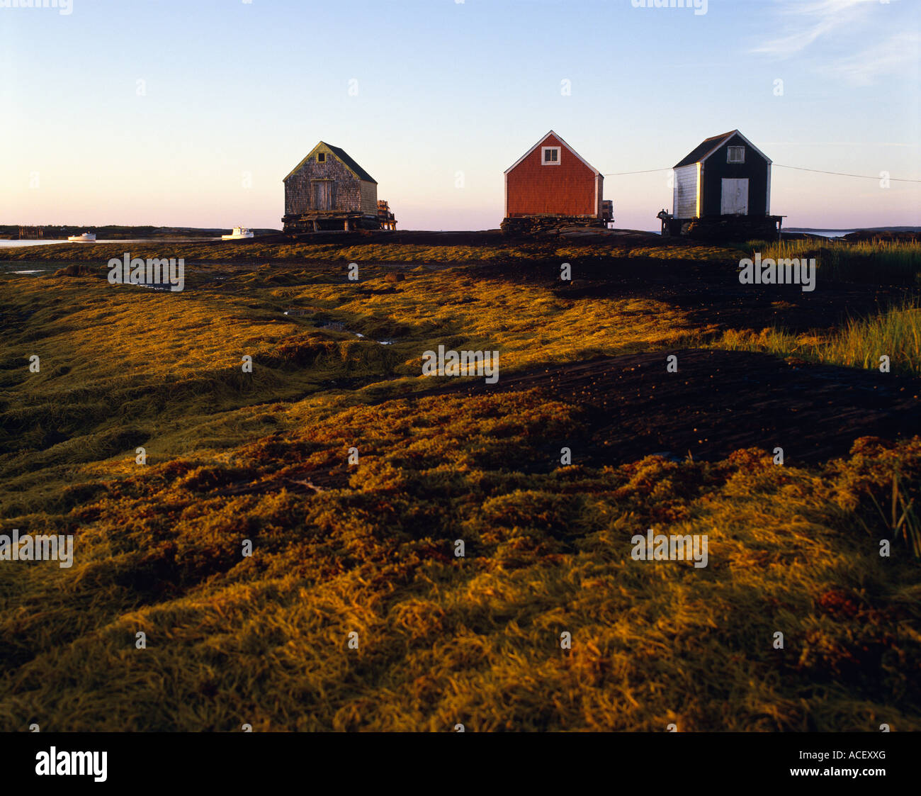 Fish shacks back view Stock Photo - Alamy