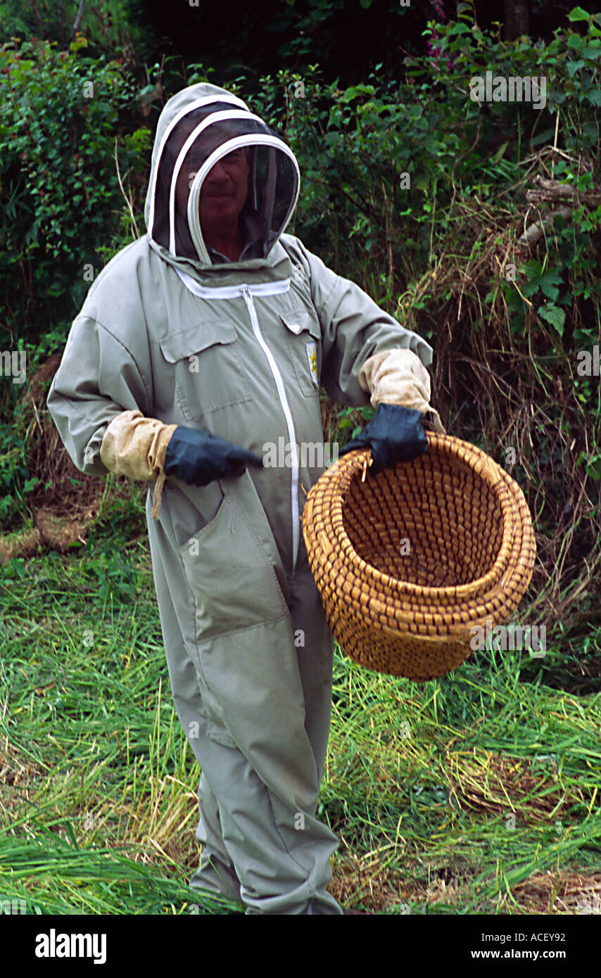Domestic bee keeping hi-res stock photography and images - Alamy