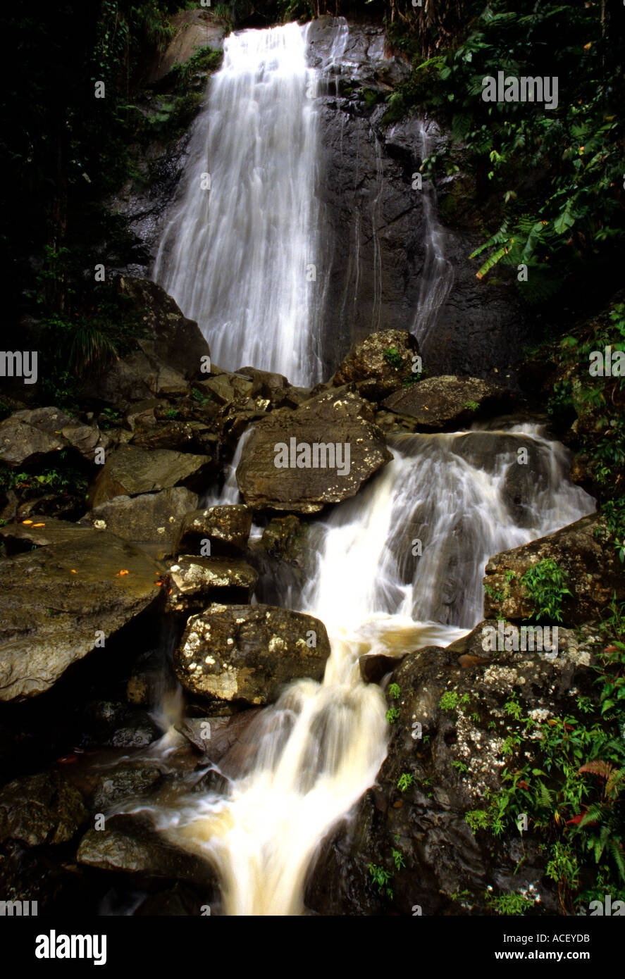 Puerto Rico Waterfalls on El Mina River in El Yunque rain forest ...