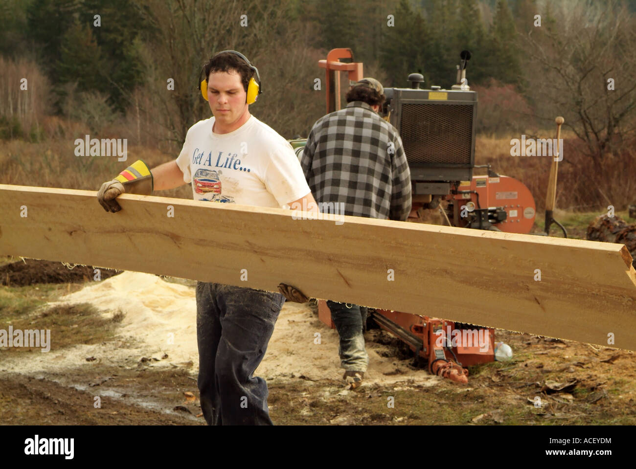 Men cutting lumber Stock Photo - Alamy