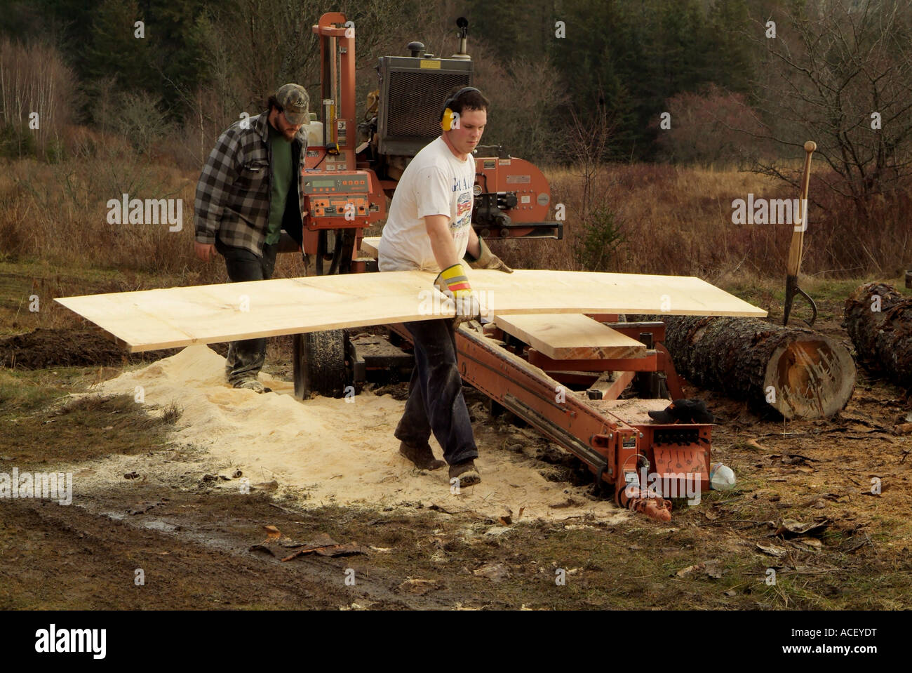 Man carrying plank Stock Photo - Alamy