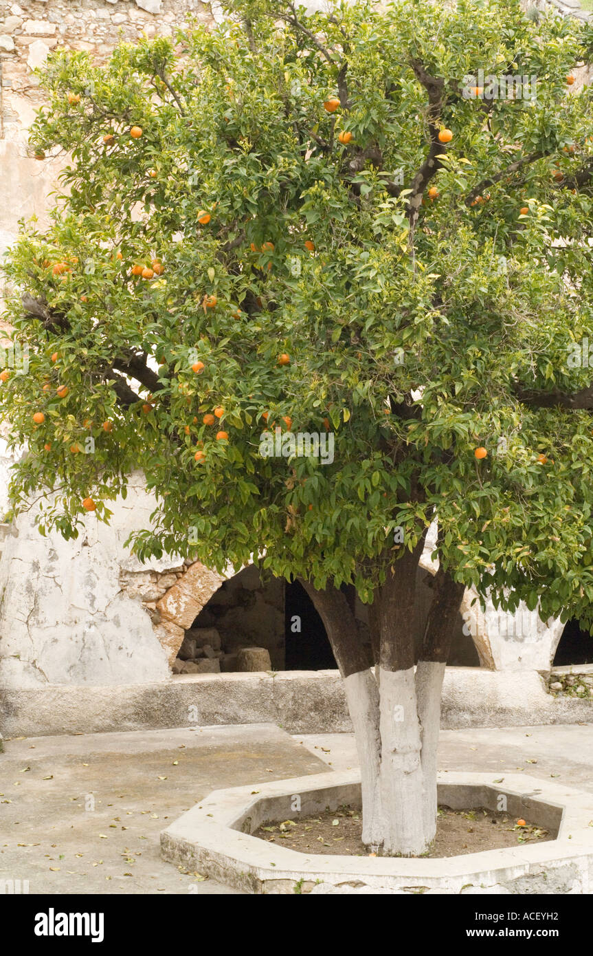 Northern cyprus and egypt hi-res stock photography and images - Alamy