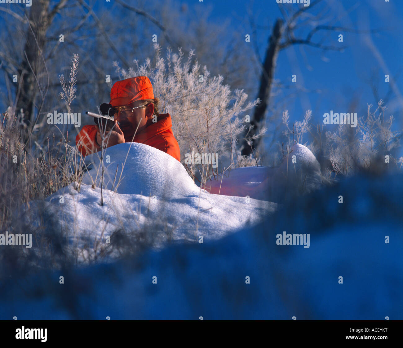 Hunter in snow wearing orange hunting suit in saskatchewan canada Stock ...