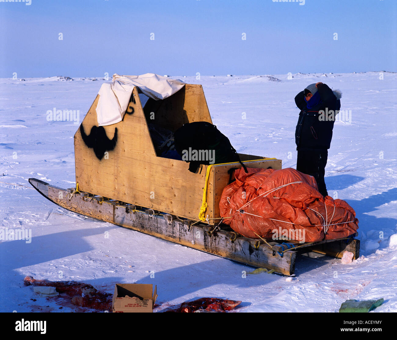 Slead arctic man putting on hood Stock Photo - Alamy