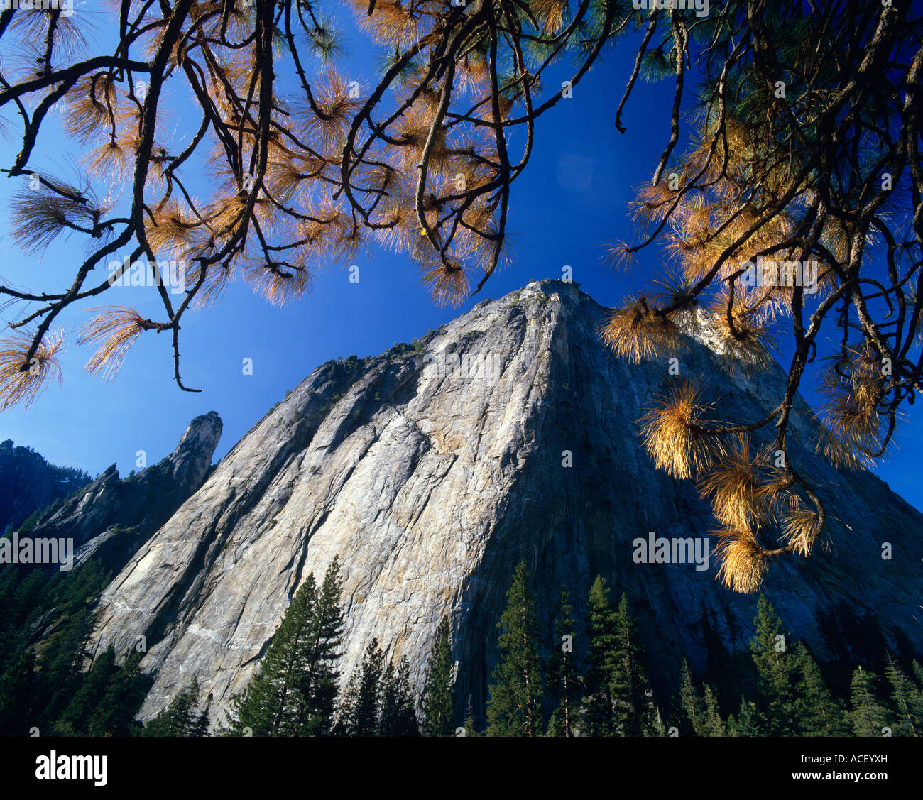 Rundell hi-res stock photography and images - Alamy