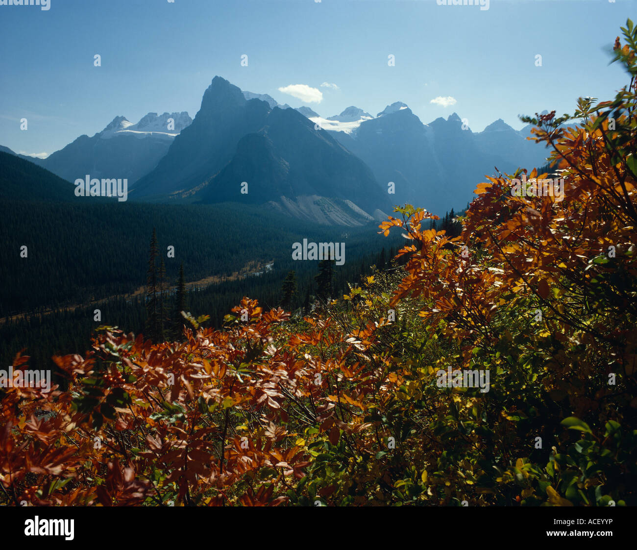 Mount babel hi-res stock photography and images - Alamy