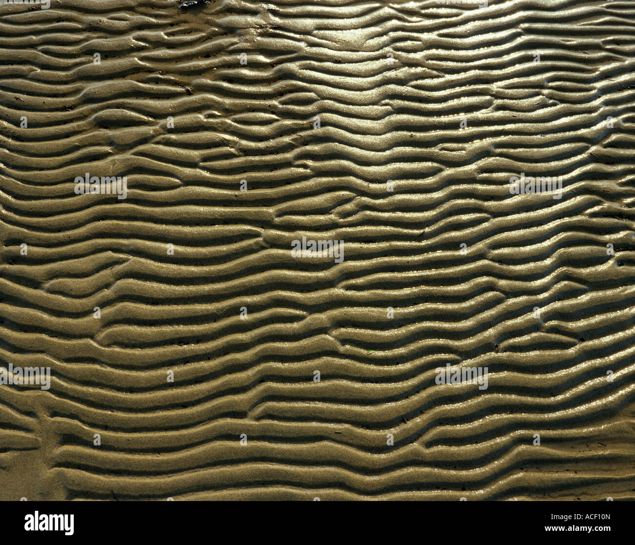 Sand ripples wavy lines hi-res stock photography and images - Alamy