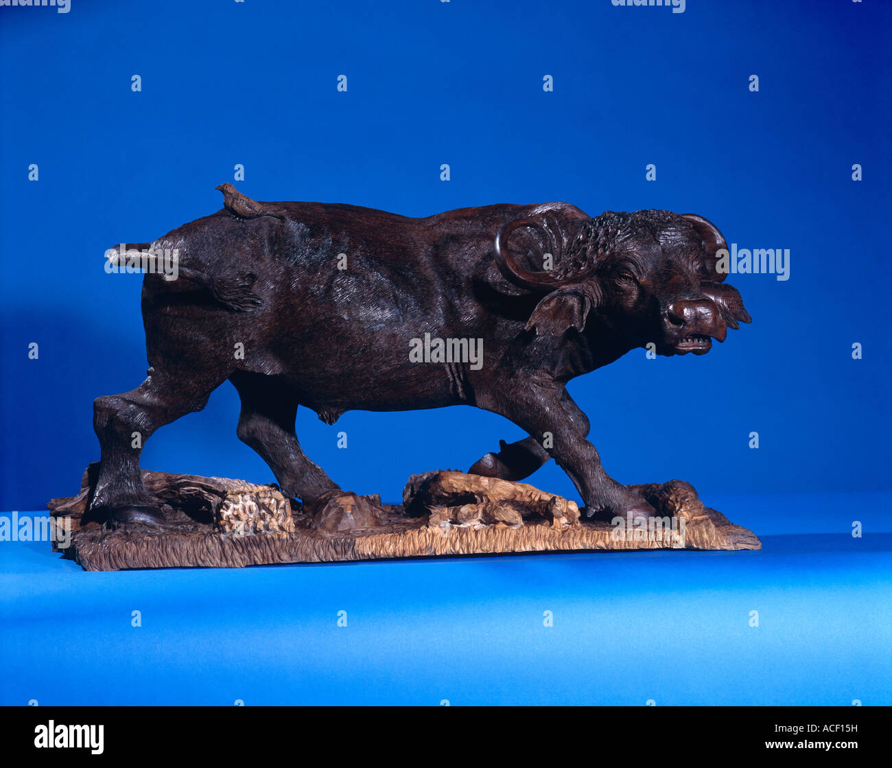 Cape Buffalo carving art Stock Photo - Alamy