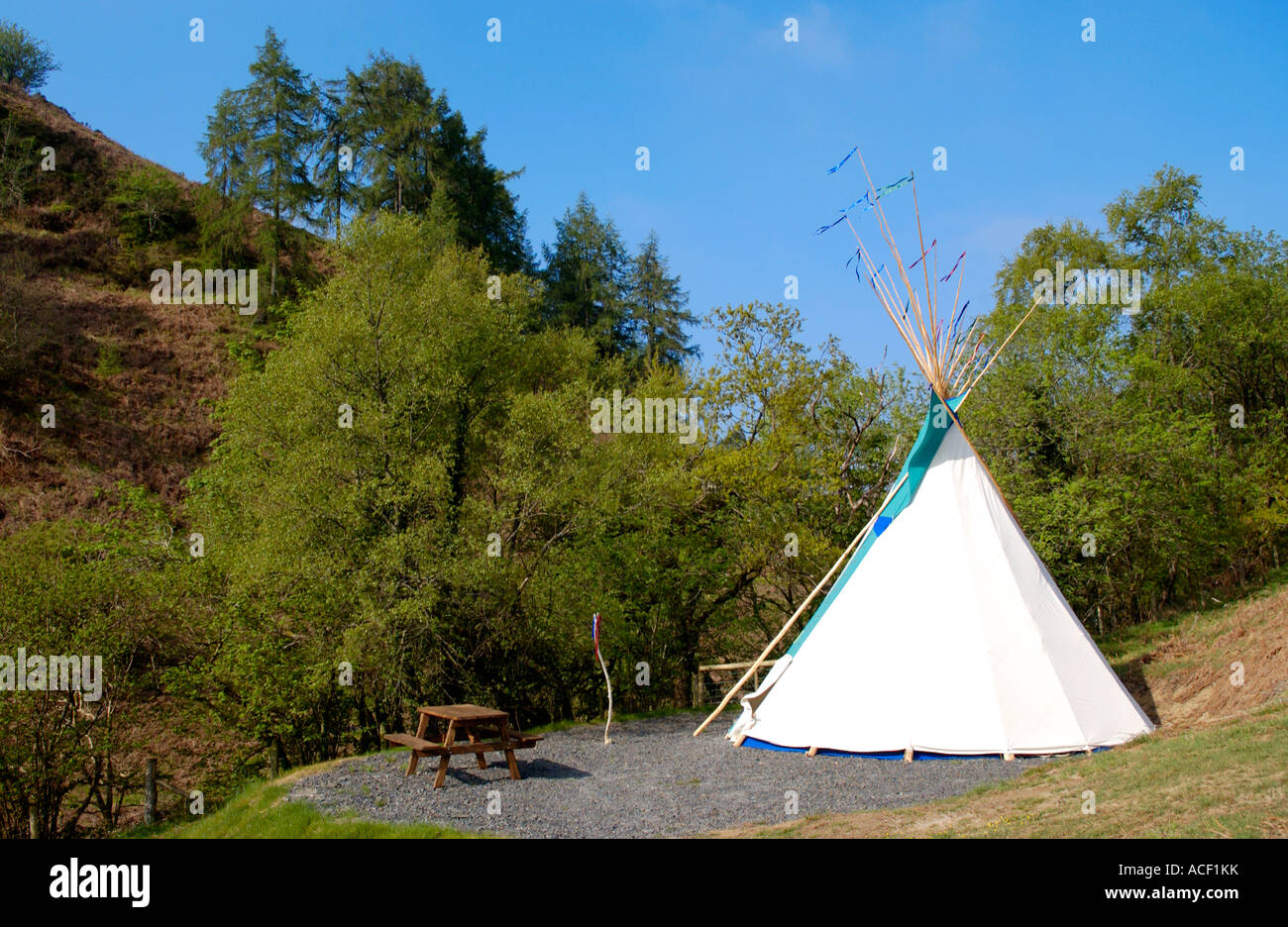 Tipi with poles and ribbons at specialist teepee campsite on farm in ...