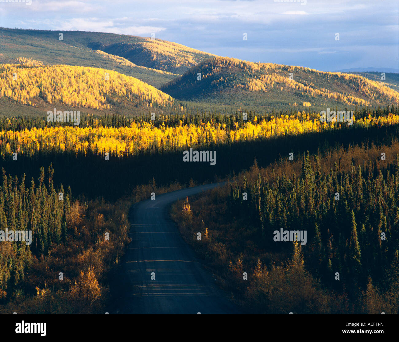 Fall leaves dirt road view from above Stock Photo - Alamy