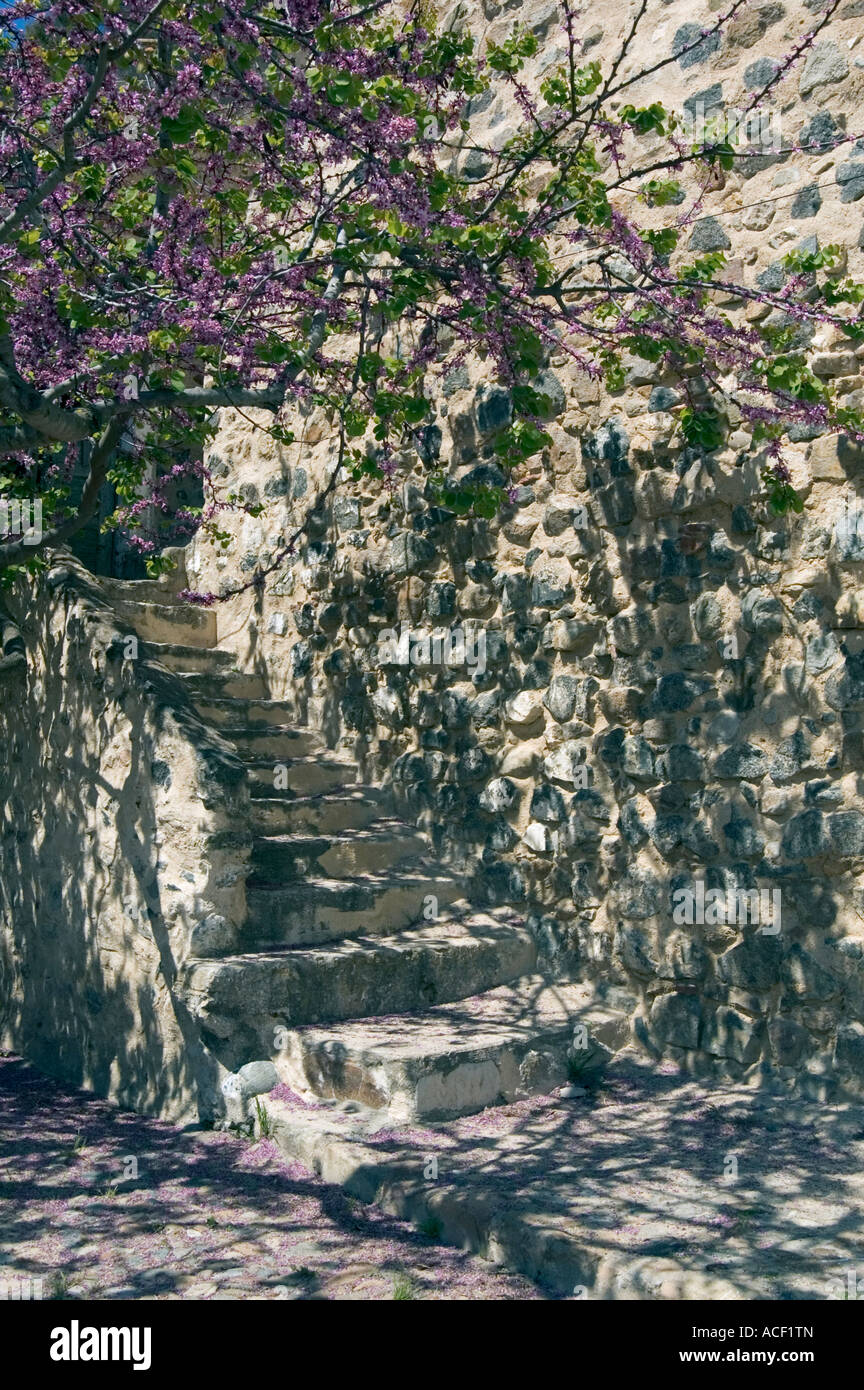 Ascending branches hi-res stock photography and images - Alamy
