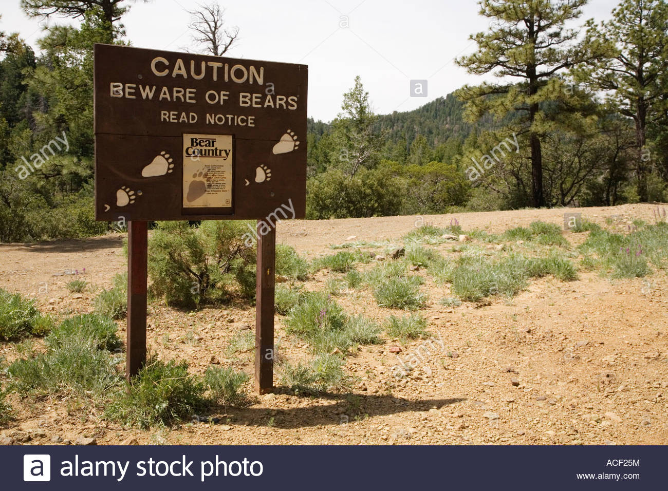 Sign Caution Beware Of Bears High Resolution Stock Photography and ...