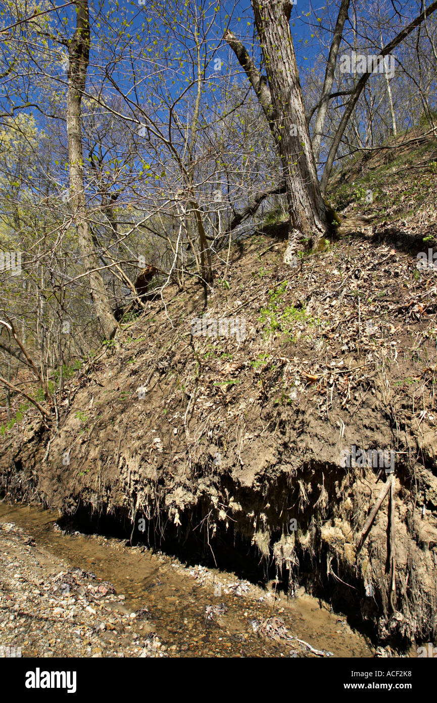 Undercutting hi-res stock photography and images - Alamy