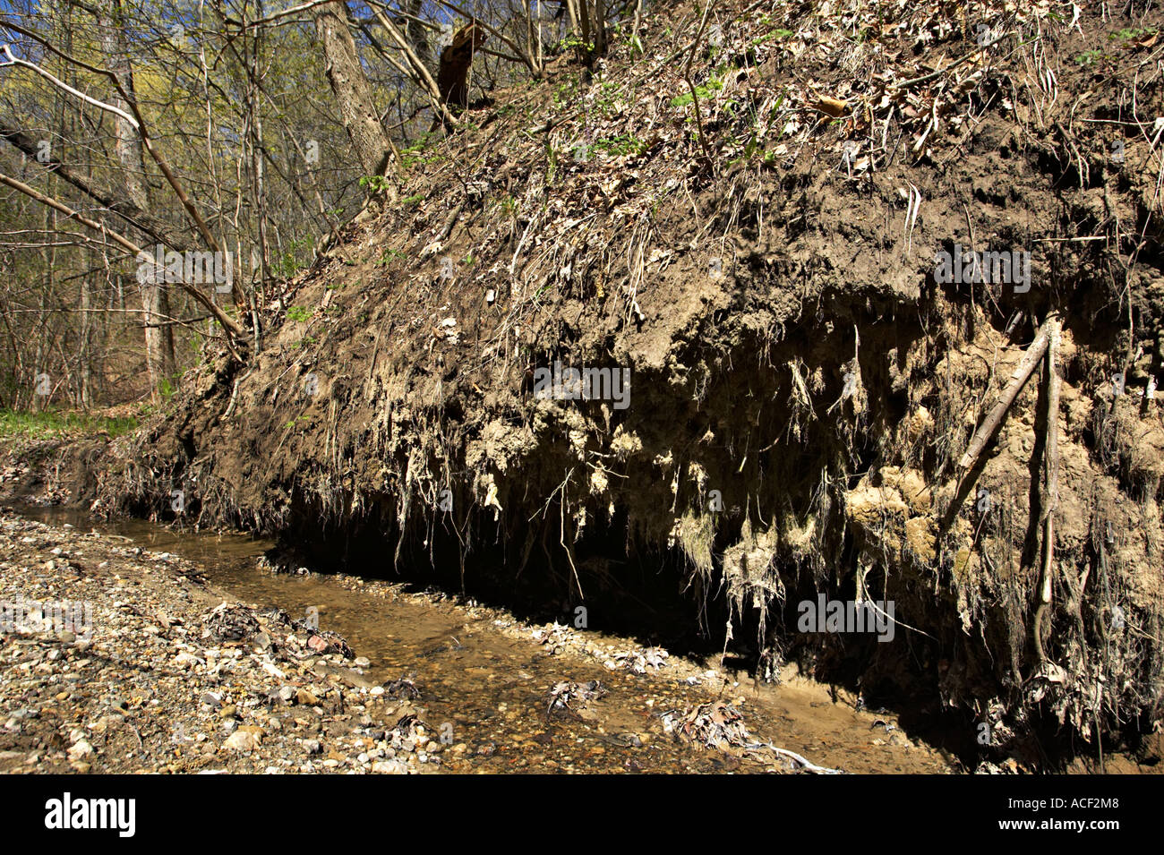 Undercutting hi-res stock photography and images - Alamy