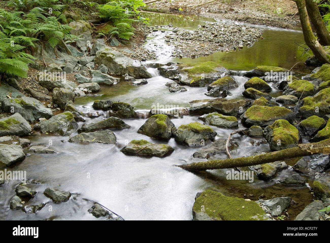 slow stream in northern california Stock Photo - Alamy