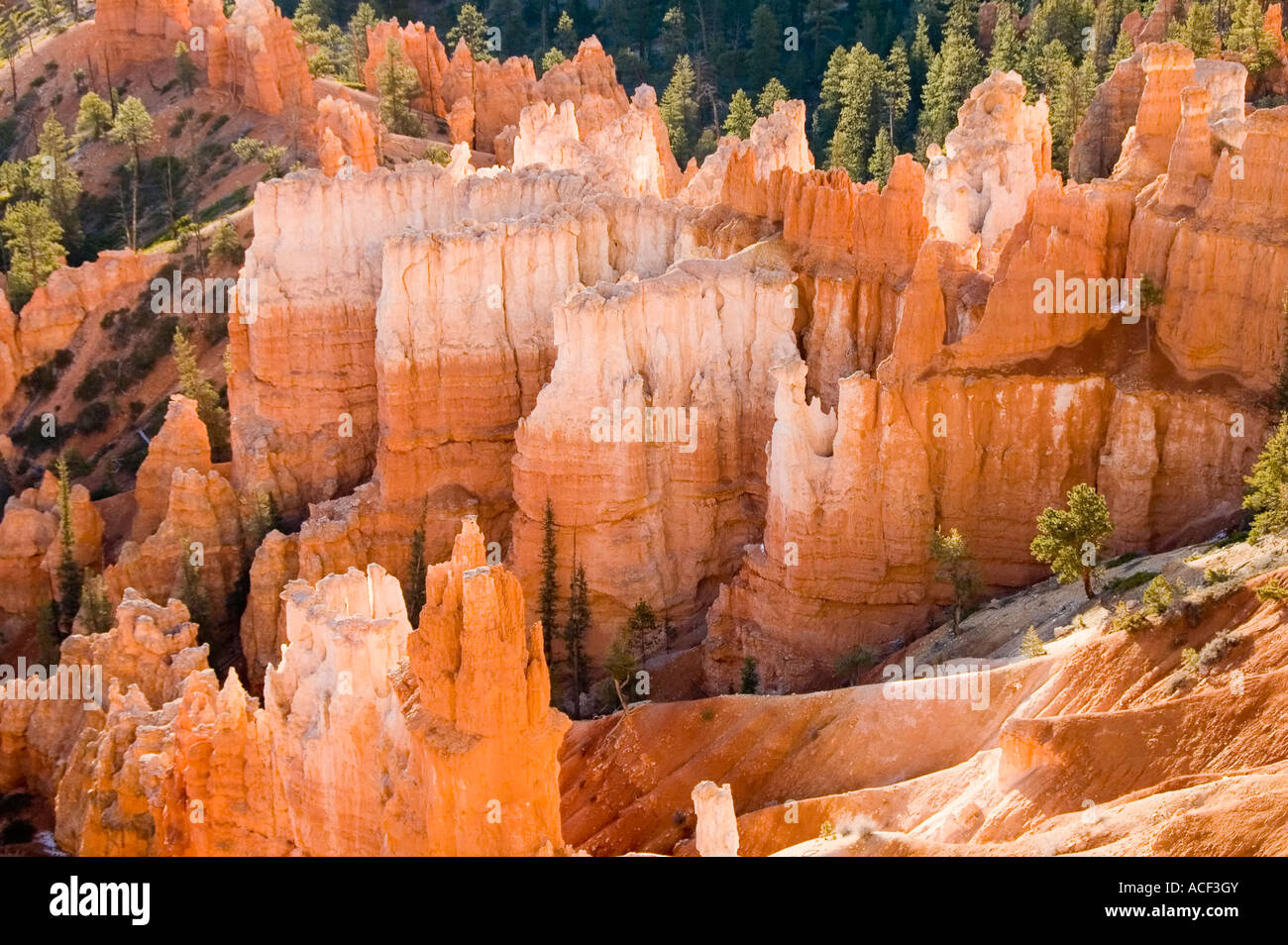 A picture illustrating some of the many of the features of Bryce Canyon ...