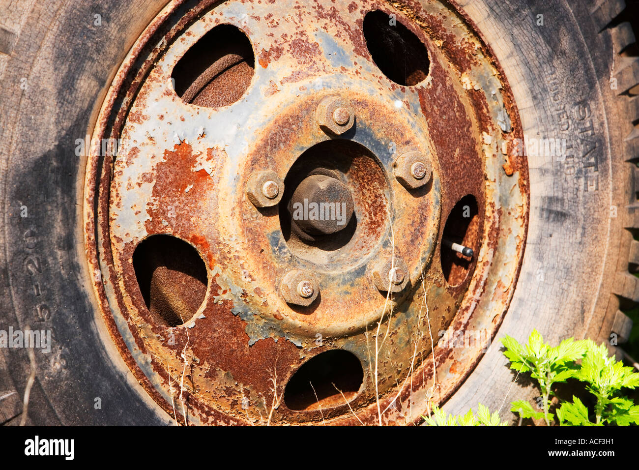 Old Truck Transportation Rust Field High Resolution Stock Photography ...