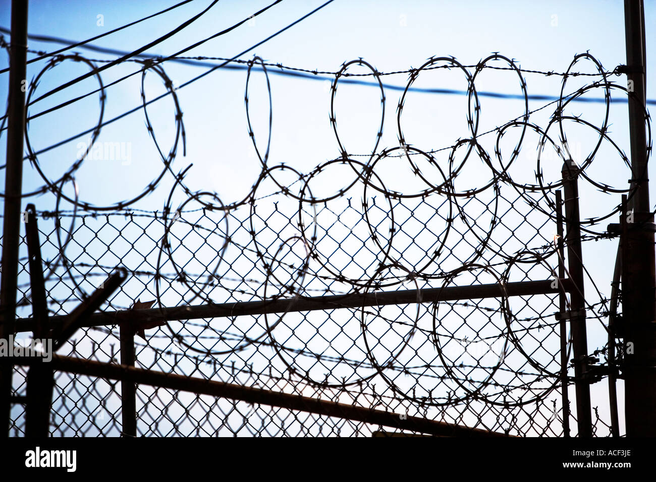 Barbed wire enclosures hi-res stock photography and images - Alamy