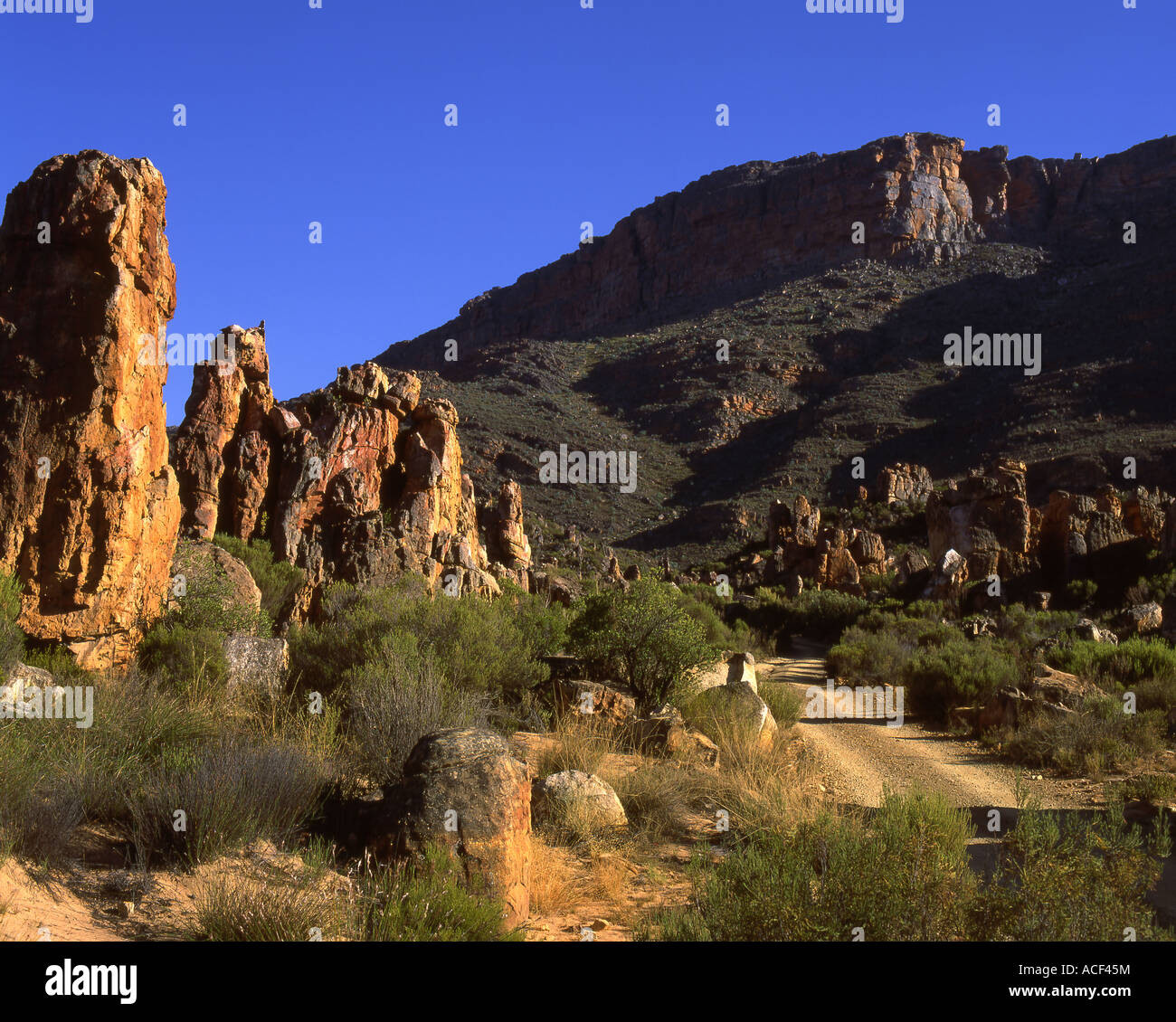 Arenaceous hi-res stock photography and images - Alamy