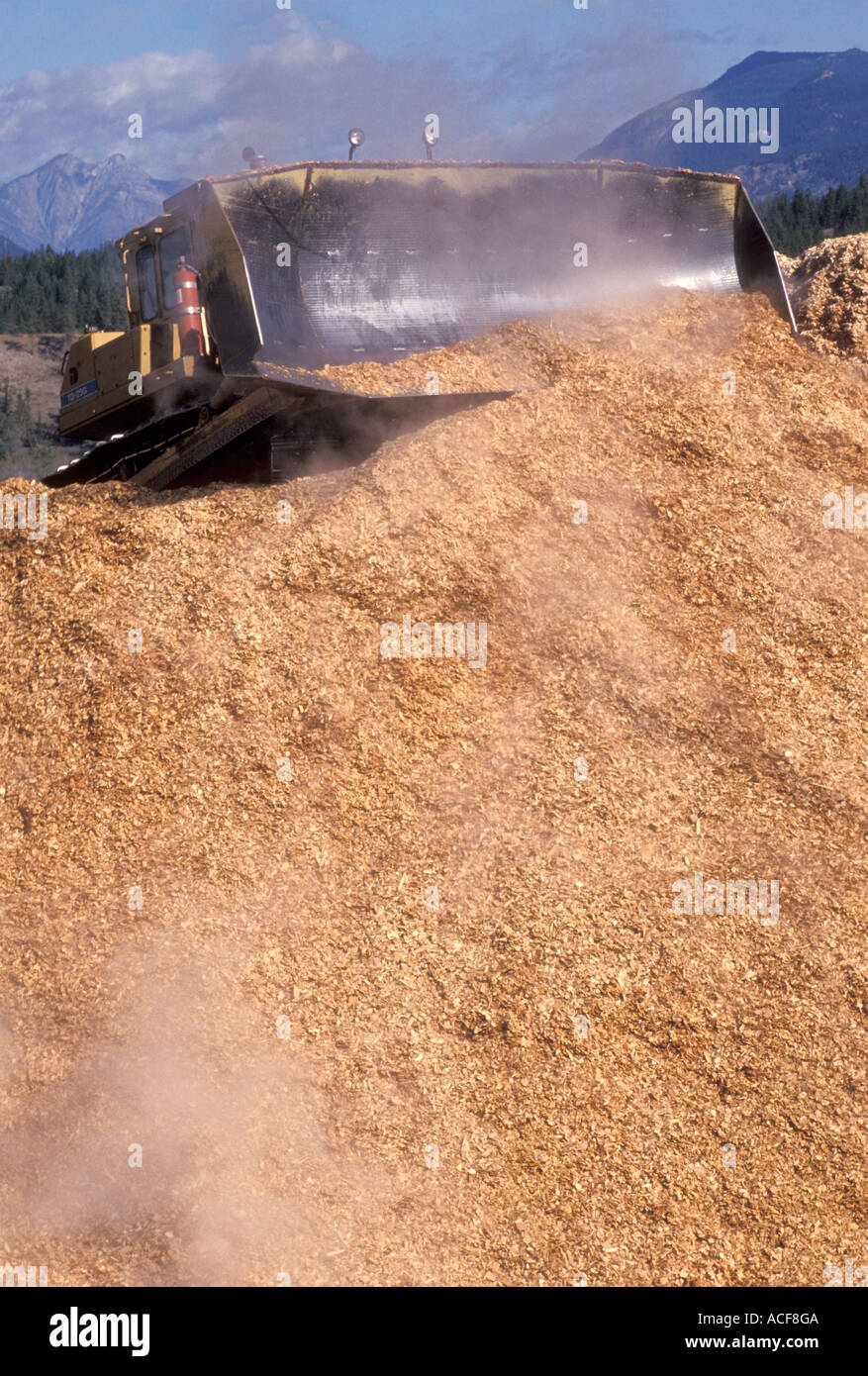 Working Pulp Mill Stock Photos & Working Pulp Mill Stock Images - Alamy