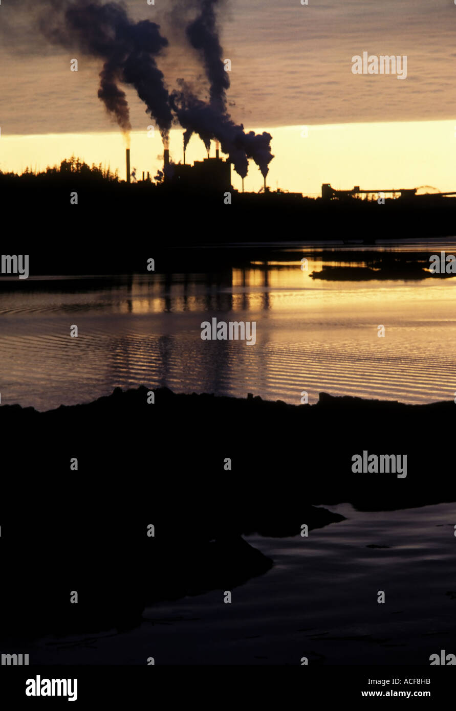 Rupert wood hi-res stock photography and images - Alamy