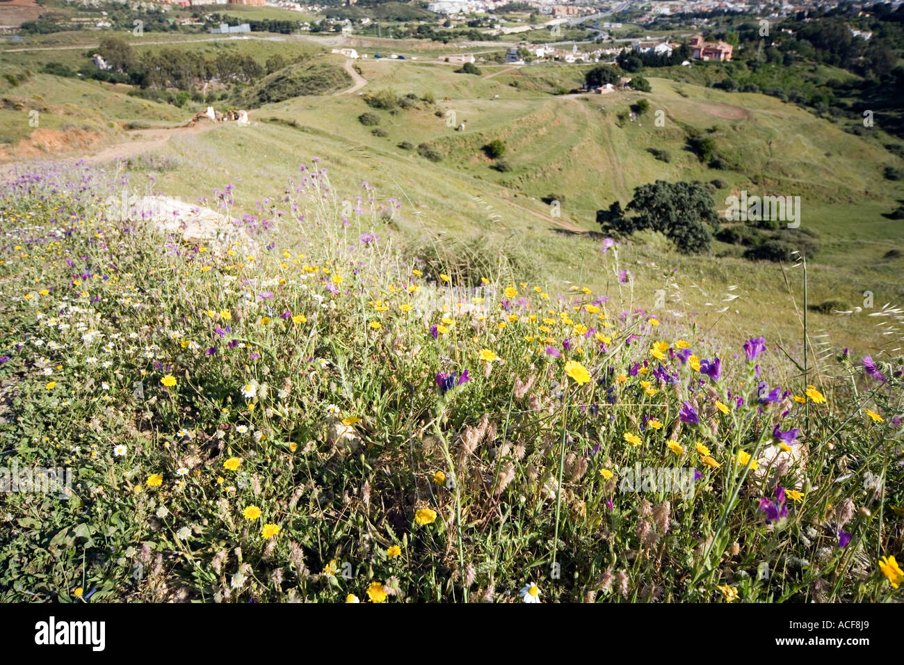 Wild Spanish hillside Stock Photo - Alamy